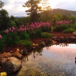 Elohee Center – retreat… renew… remember