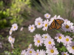 Retreat – Elohee Retreat Center