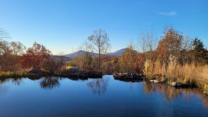Retreat – Elohee Retreat Center