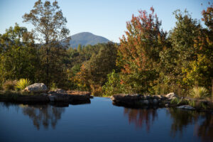 Retreat – Elohee Retreat Center