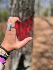 Retreat – Elohee Retreat Center
