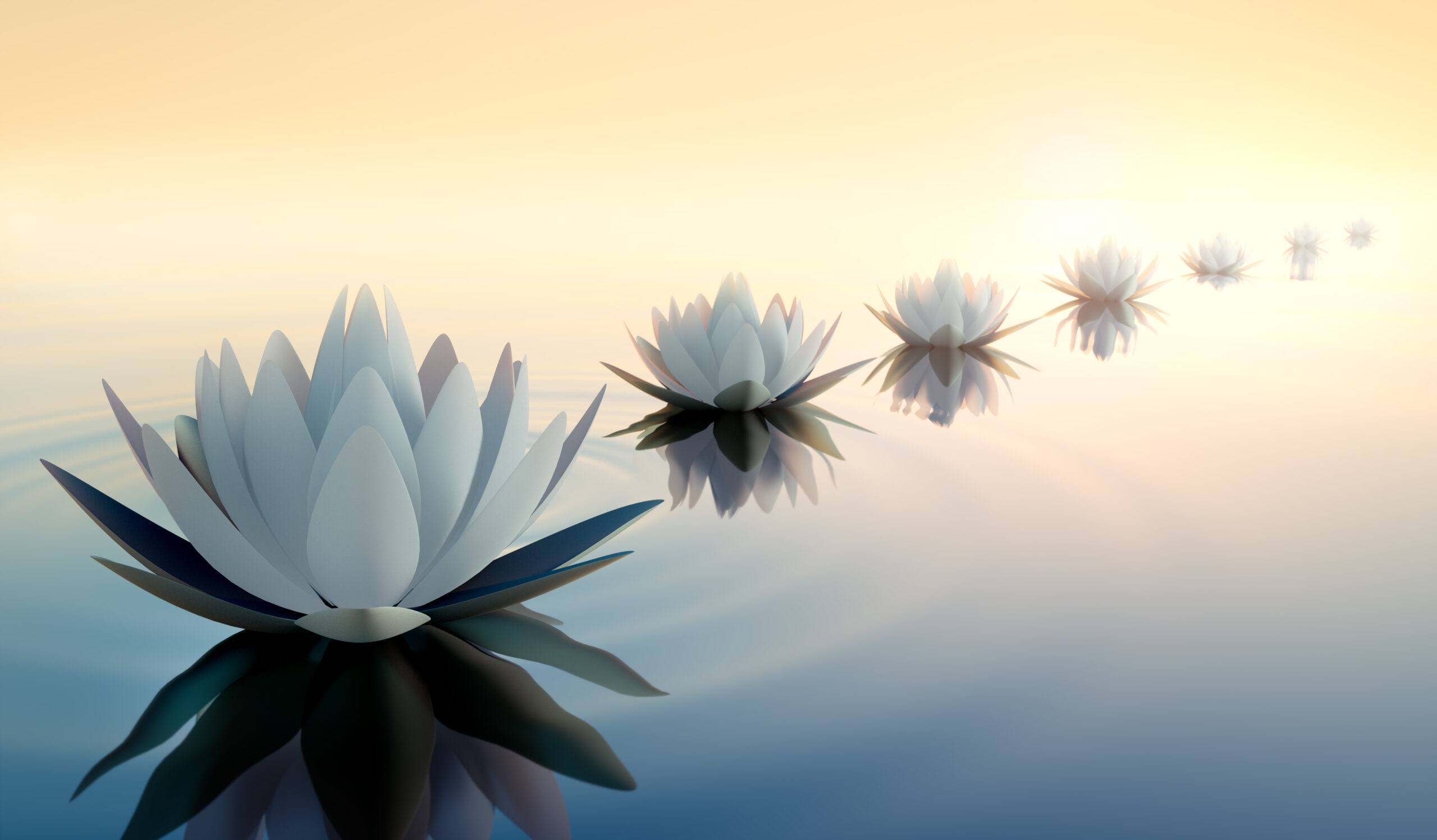 Retreat – Elohee Retreat Center
