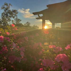 Retreat – Elohee Retreat Center