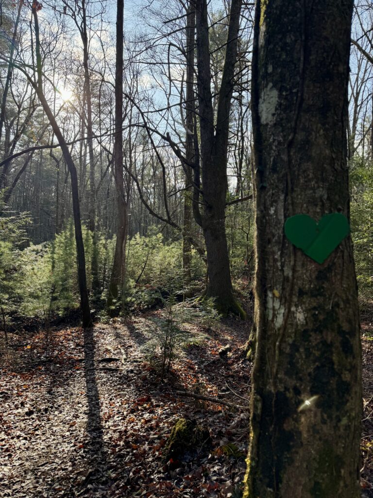 Retreat – Elohee Retreat Center