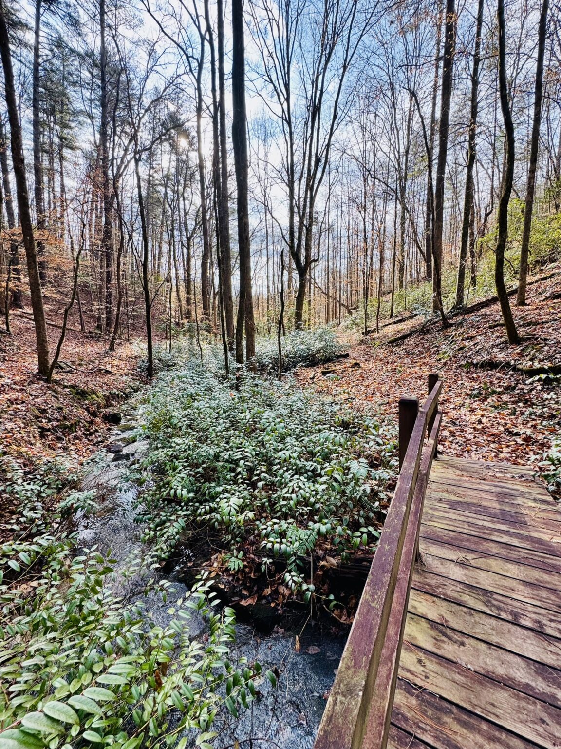 Retreat – Elohee Retreat Center