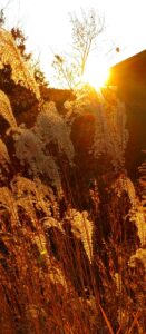 Retreat – Elohee Retreat Center