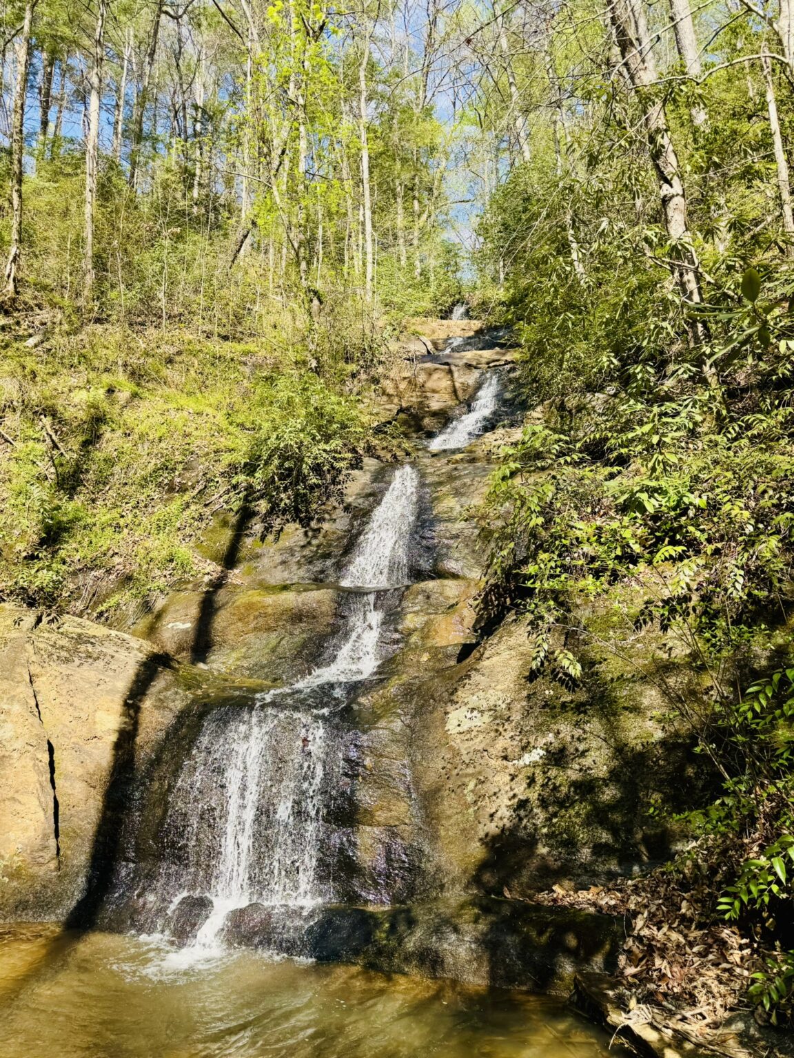 Retreat – Elohee Retreat Center
