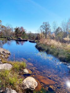 Retreat – Elohee Retreat Center